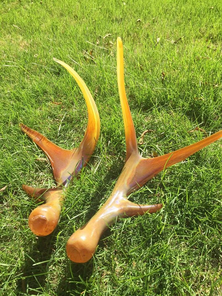 *You Choose* Custom Color Antler Pair — Garmezy Glass
