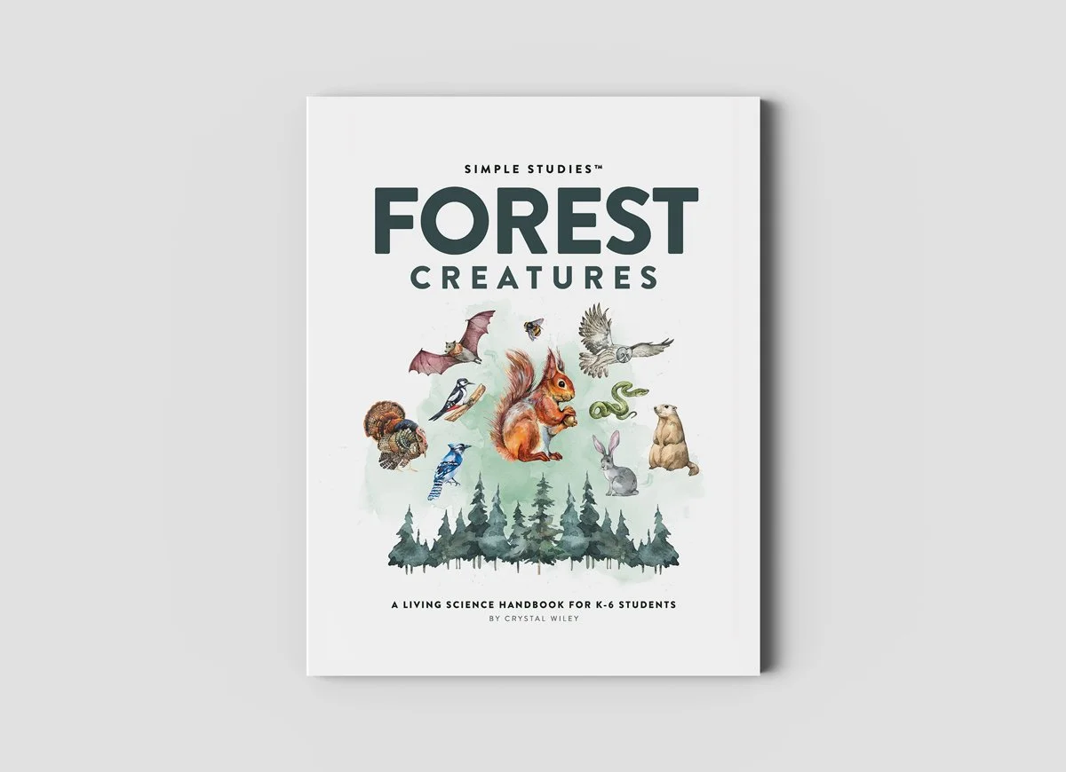 Simple Studies: Forest Creatures — Simple Studies