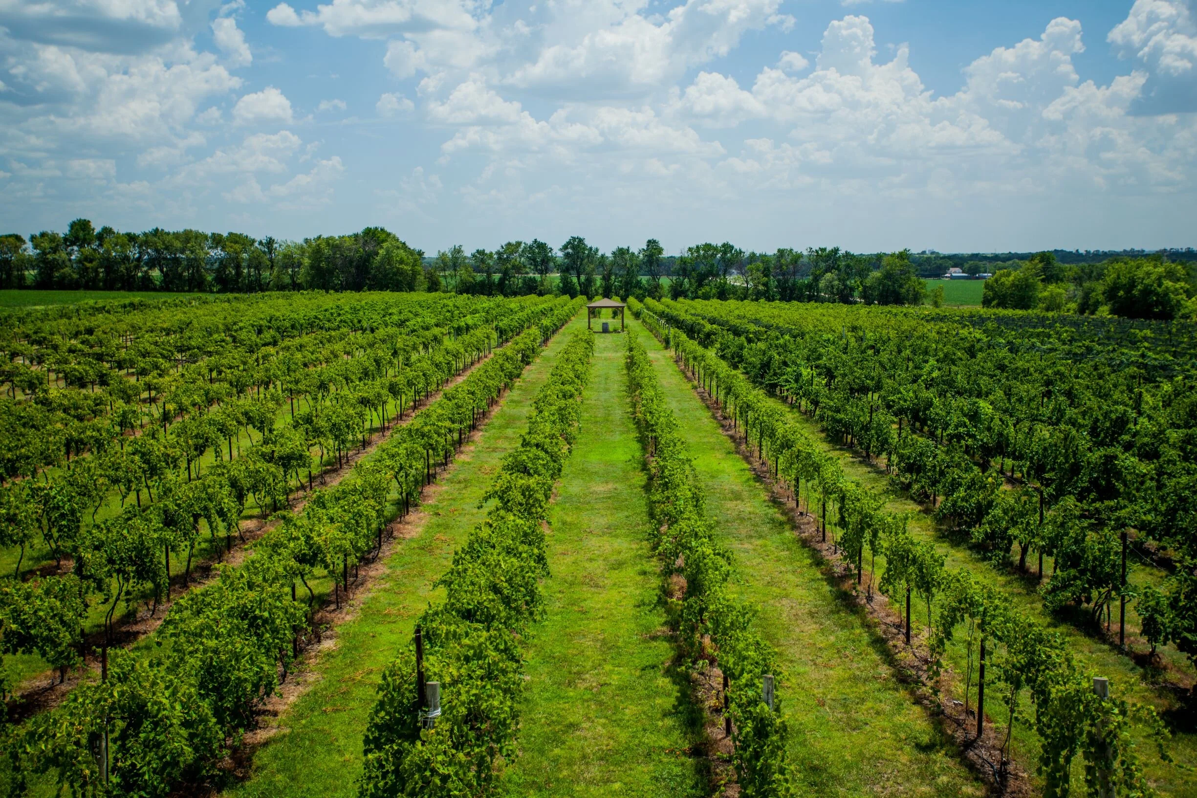 Visit — Grace Hill Winery