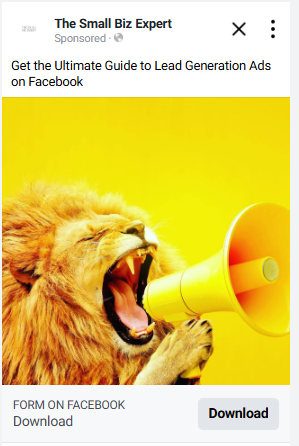 Facebook Lead Generation Ads For Small Business - A Guide | The Small ...