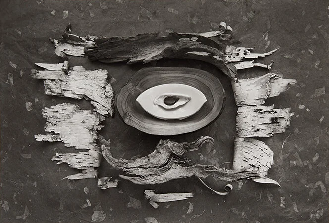 Paul Caponigro — Pucker GalleryPuckerGallery