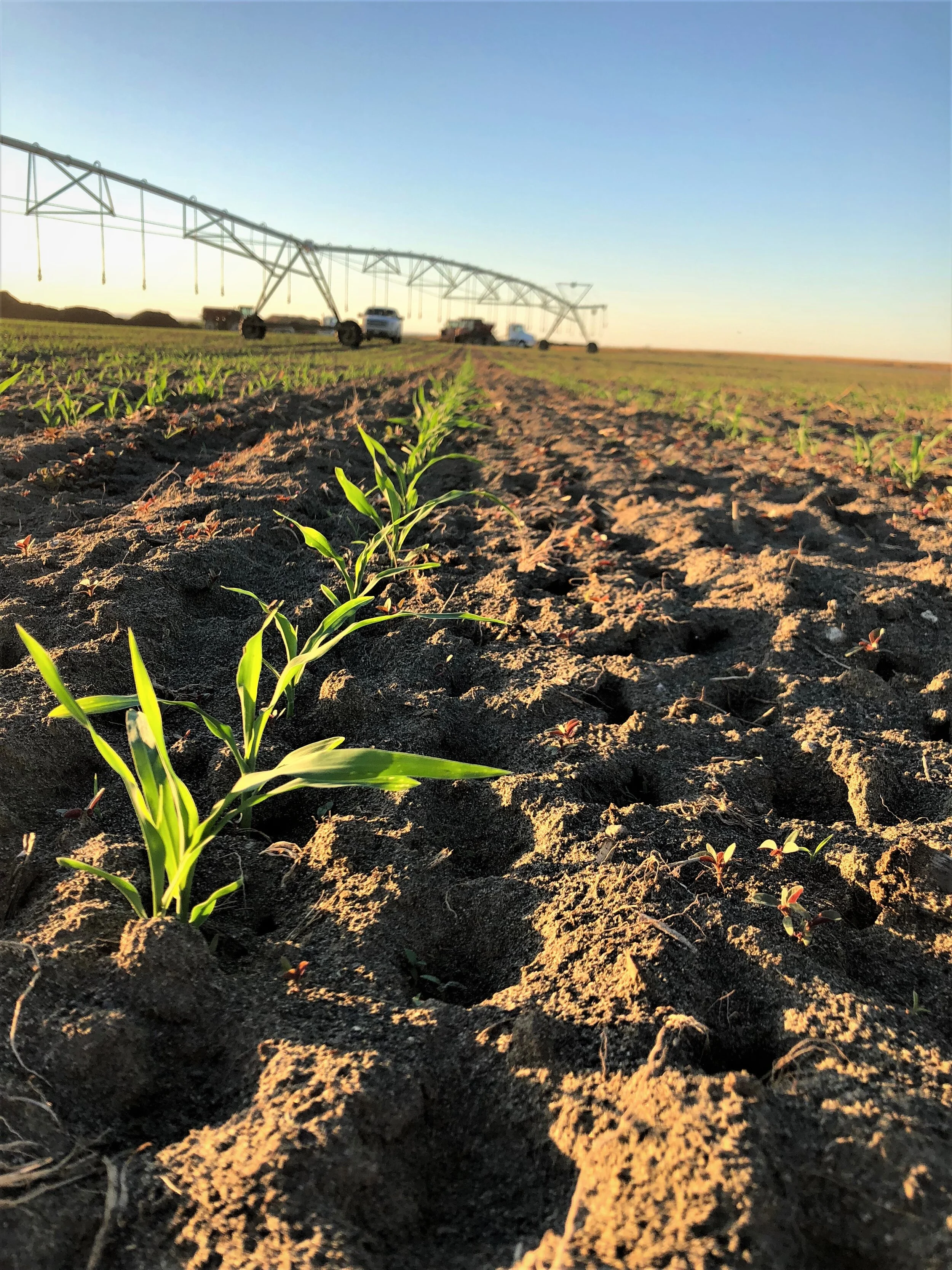 AGRONOMY — Cascade Agronomics