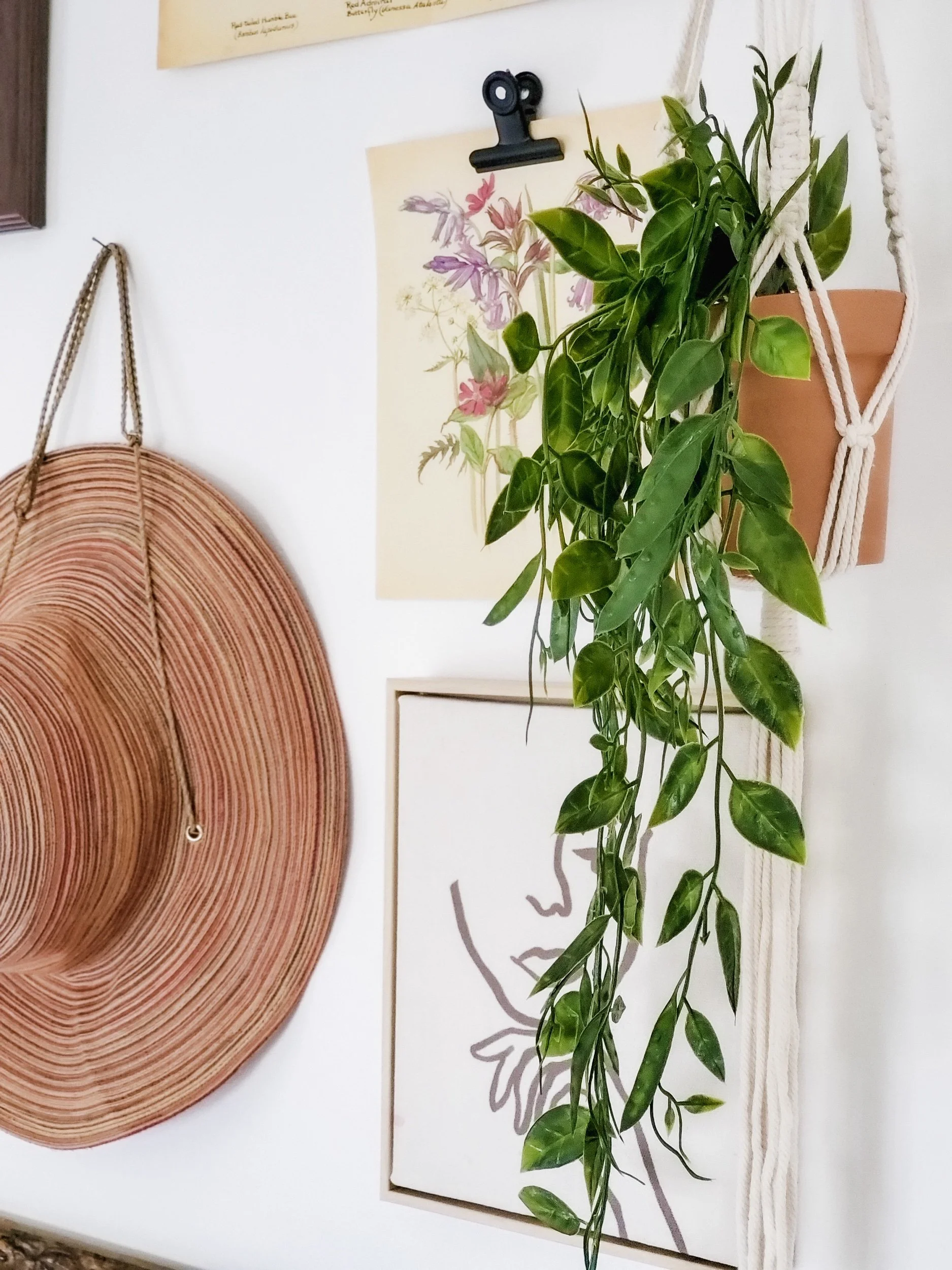 The Haymount Historic — Haymount Homes