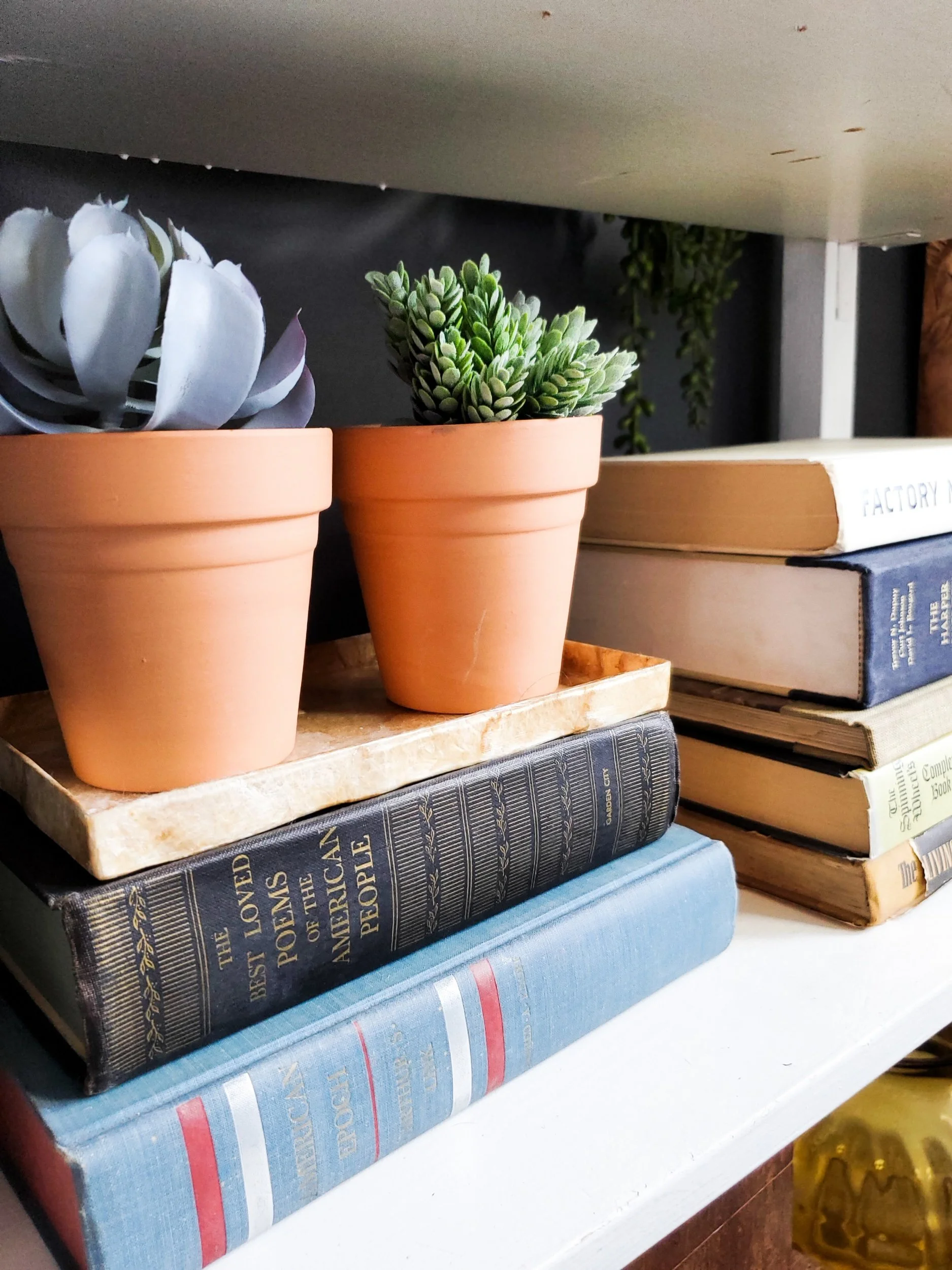 The Haymount Historic — Haymount Homes