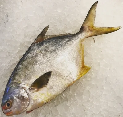 Fish — The Fishmonger & Butcher