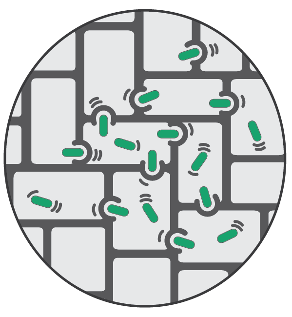 People — Lamason Lab