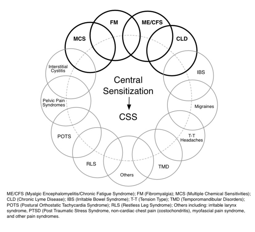 Centralized Sensitivity Syndromes & KMS Acupuncture — Carmelle Lauren ...