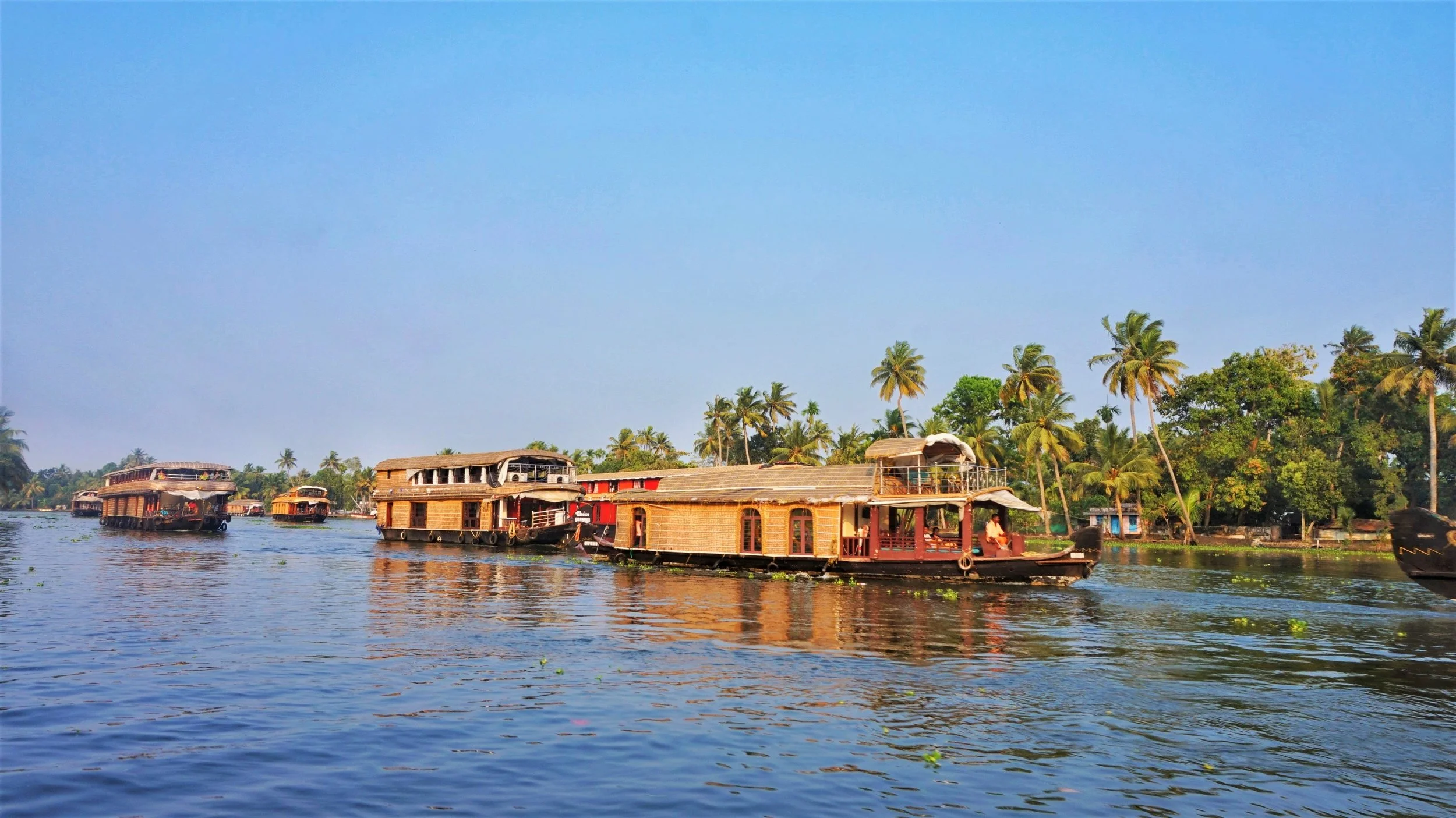 The Best Alleppey Backwaters Tours: Five Ways to See the Backwaters ...