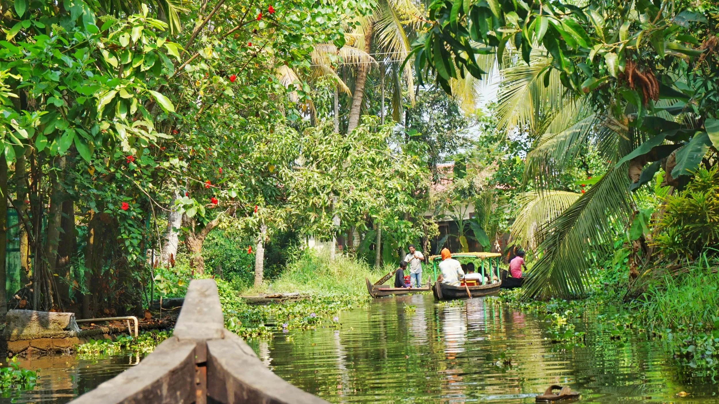The Best Alleppey Backwaters Tours: Five Ways to See the Backwaters ...