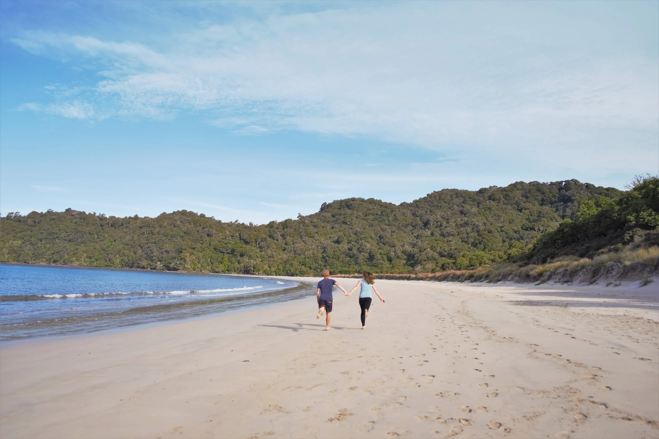 Things to do on Stewart Island, New Zealand — Travels Of A Bookpacker