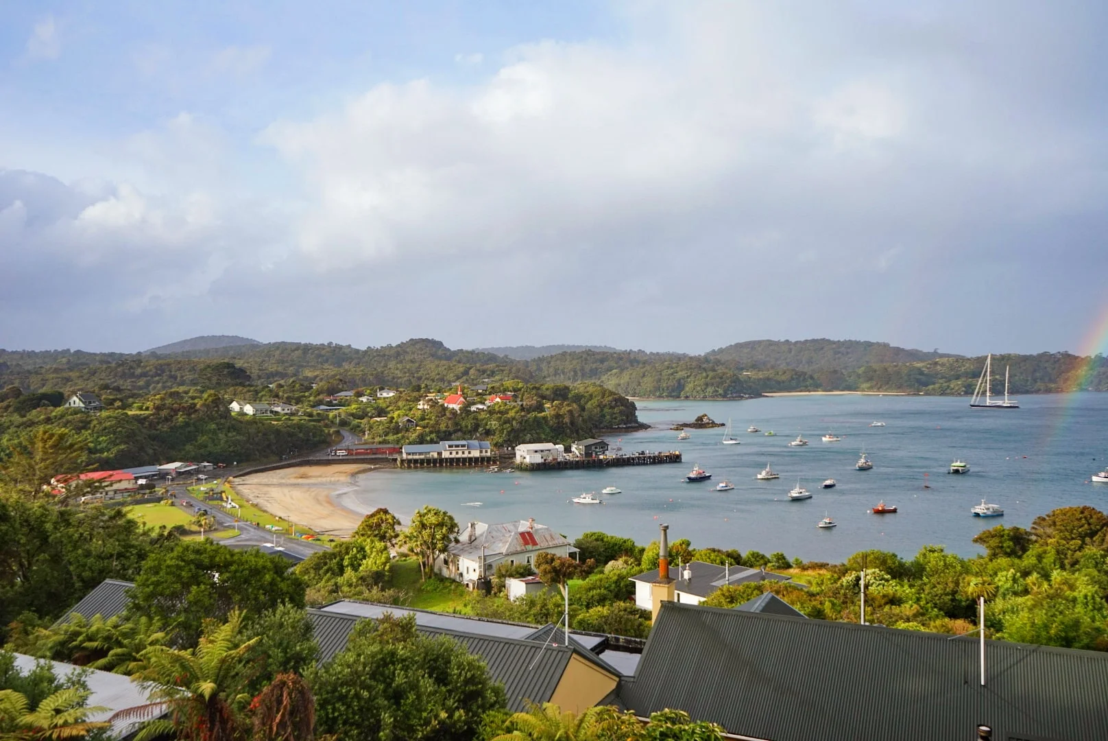 Things to do on Stewart Island, New Zealand — Travels Of A Bookpacker