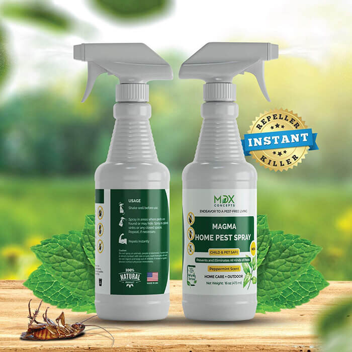 Insecticides For Plants