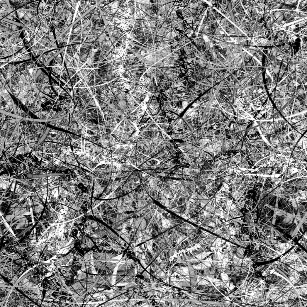 Interview With Generative Artist Jared Tarbell — Artnome