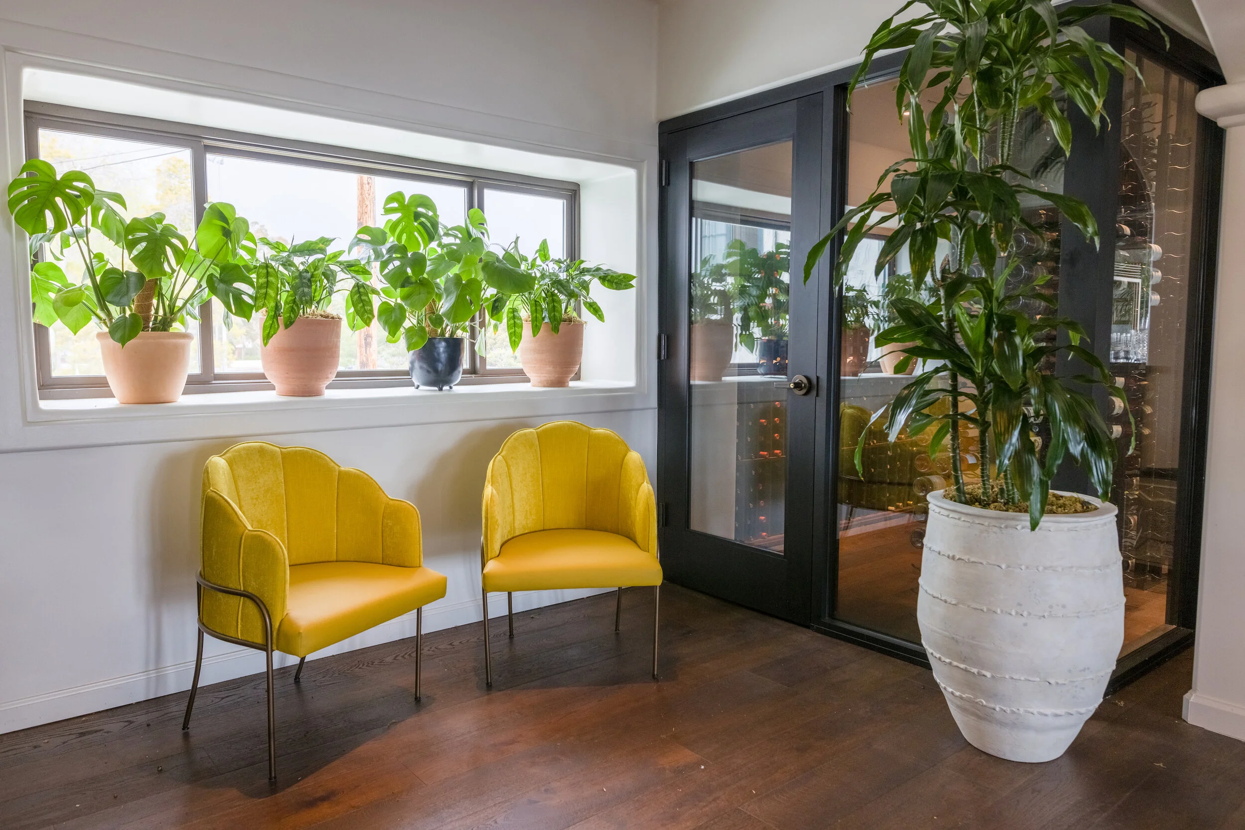 Lush Plants — Lush Elements