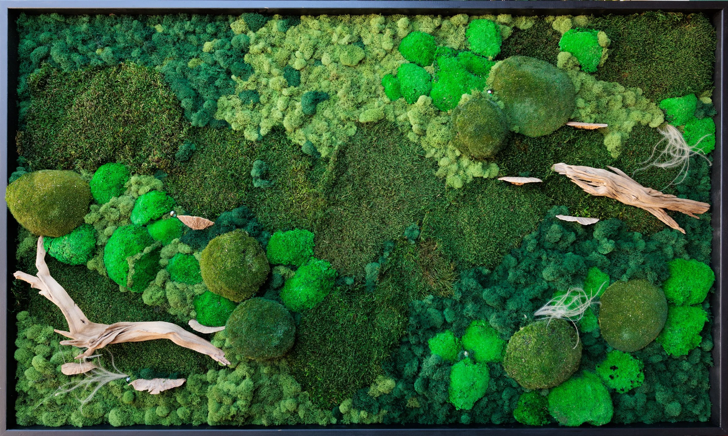 Lush Walls — Lush Elements