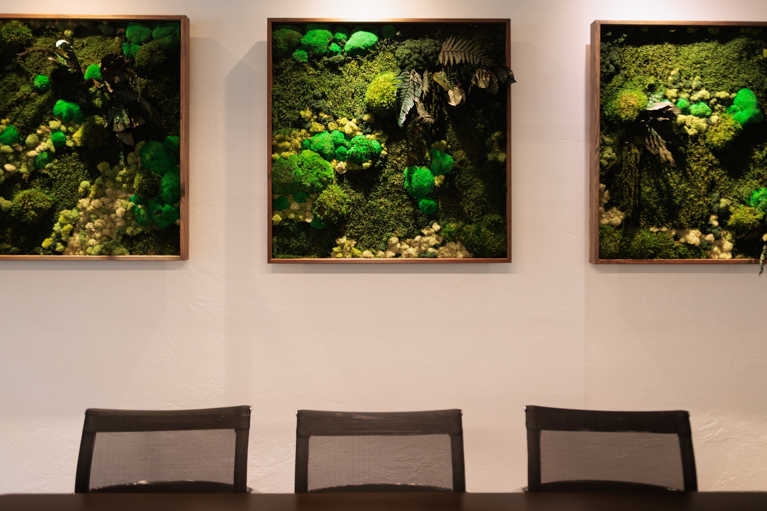 Lush Walls — Lush Elements