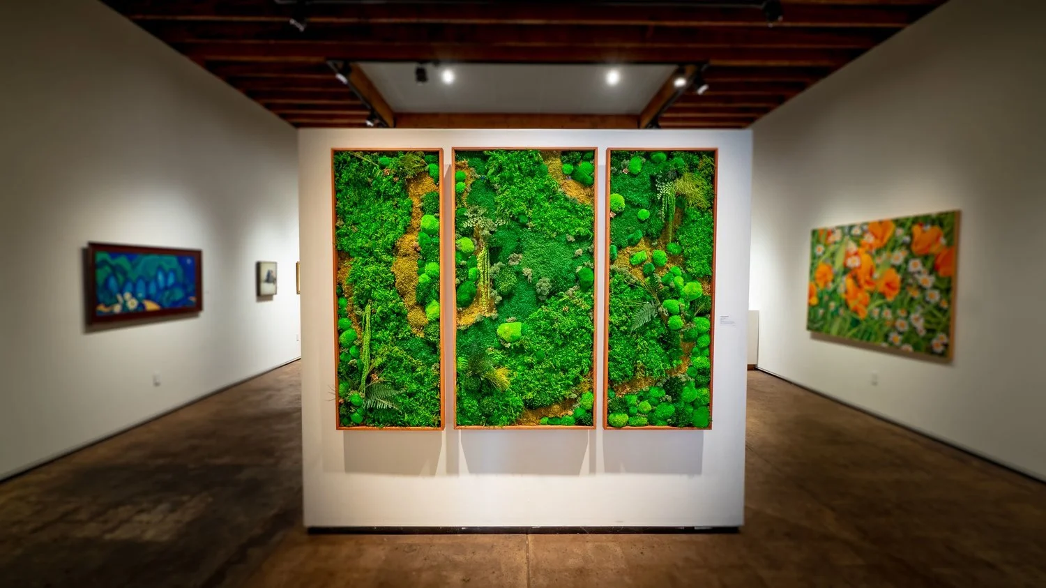 Lush Walls — Lush Elements