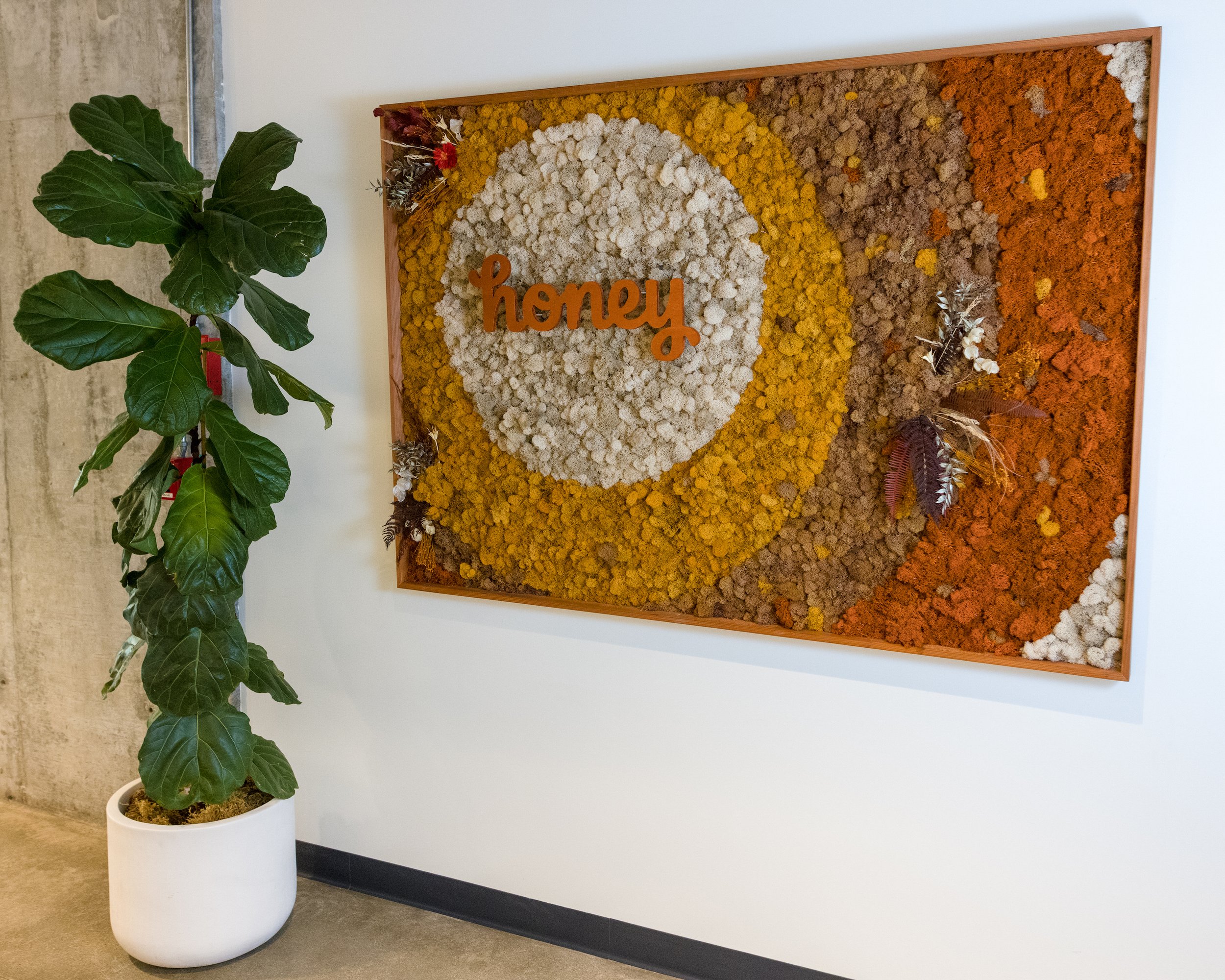 Lush Walls — Lush Elements