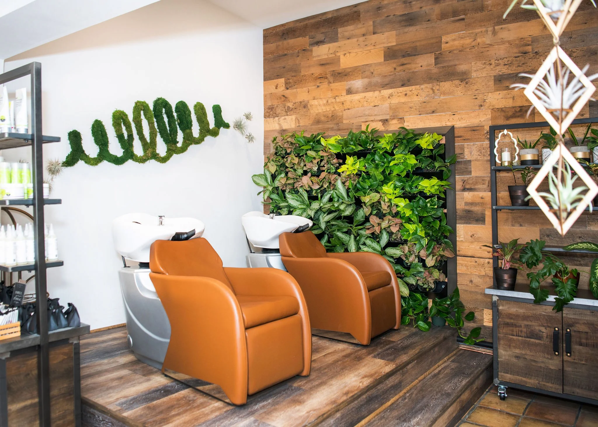 Lush Walls — Lush Elements