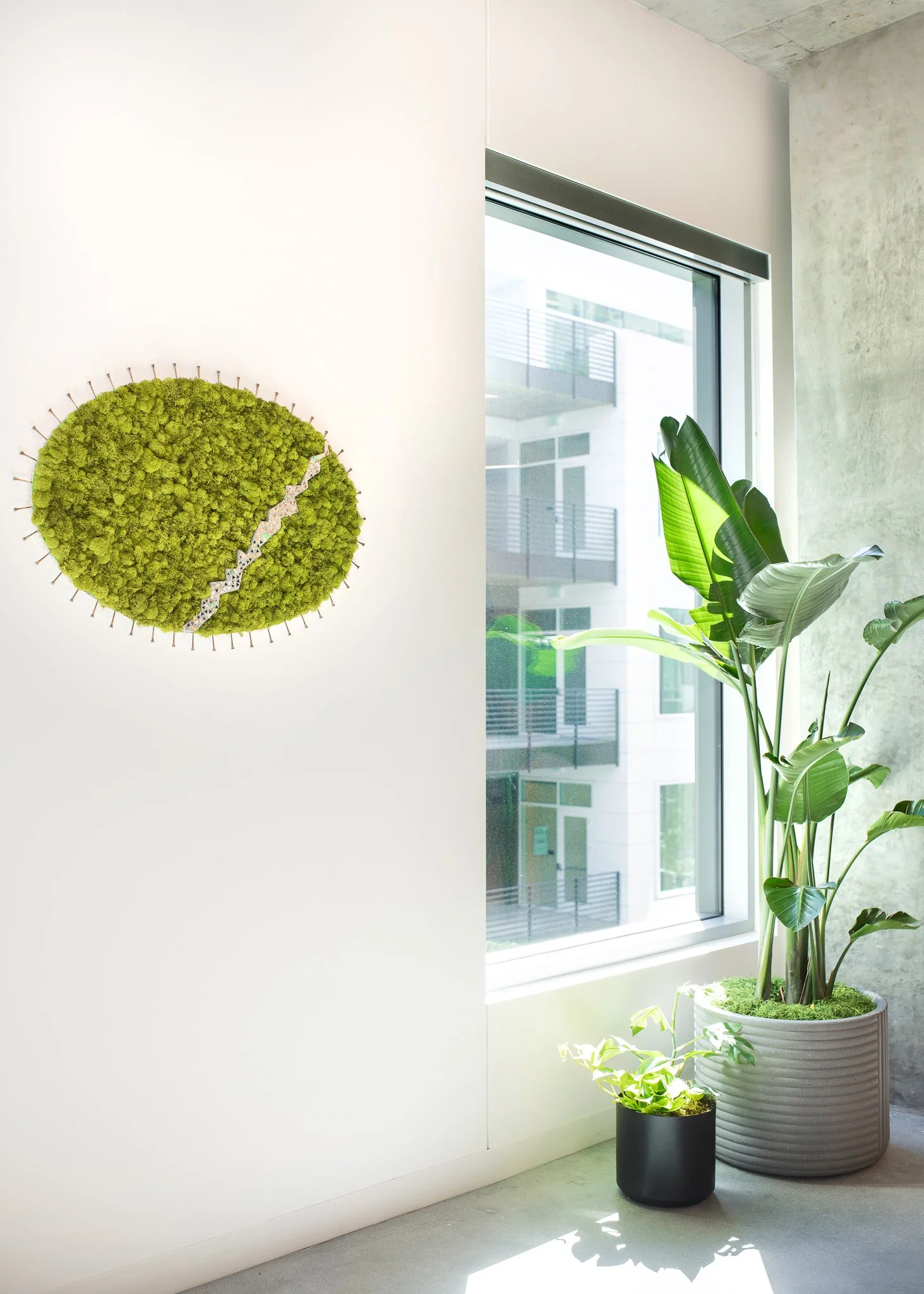 Lush Walls — Lush Elements