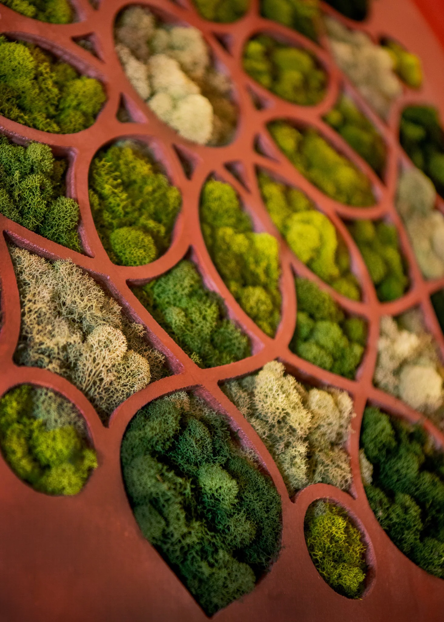 Lush Walls — Lush Elements