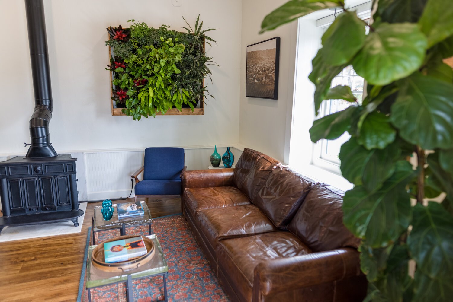 Lush Living Walls — Lush Elements