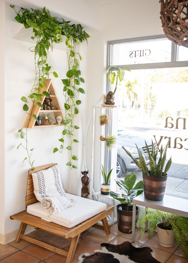 Lush Living Walls — Lush Elements