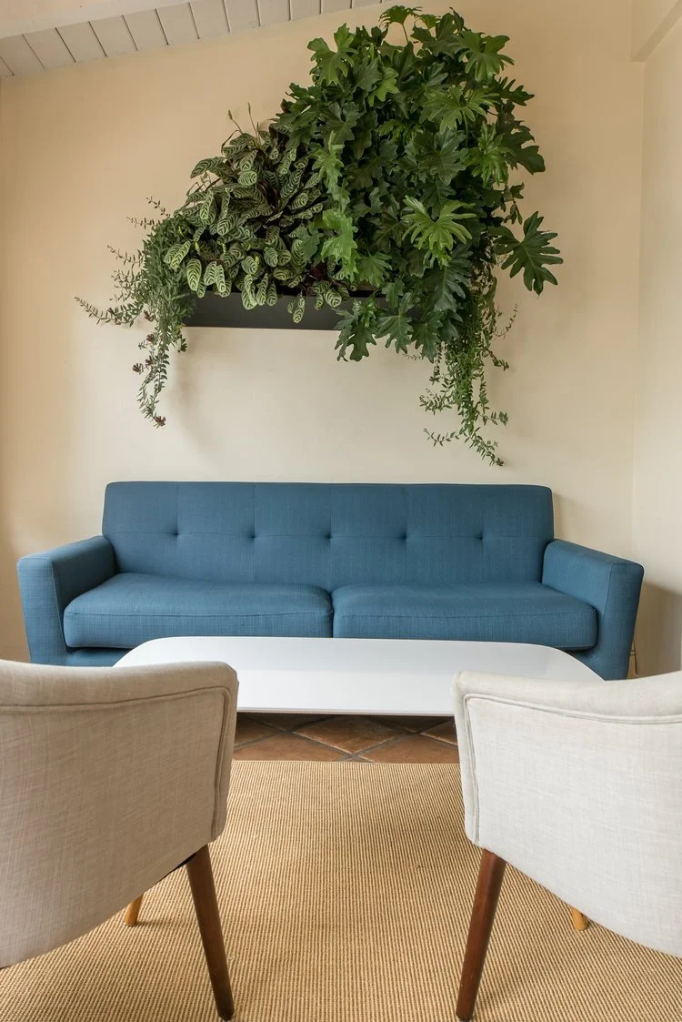 Lush Living Walls — Lush Elements