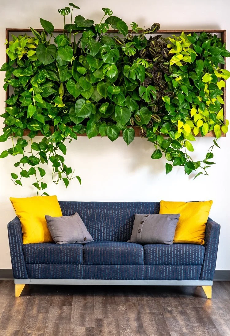 Lush Living Walls — Lush Elements