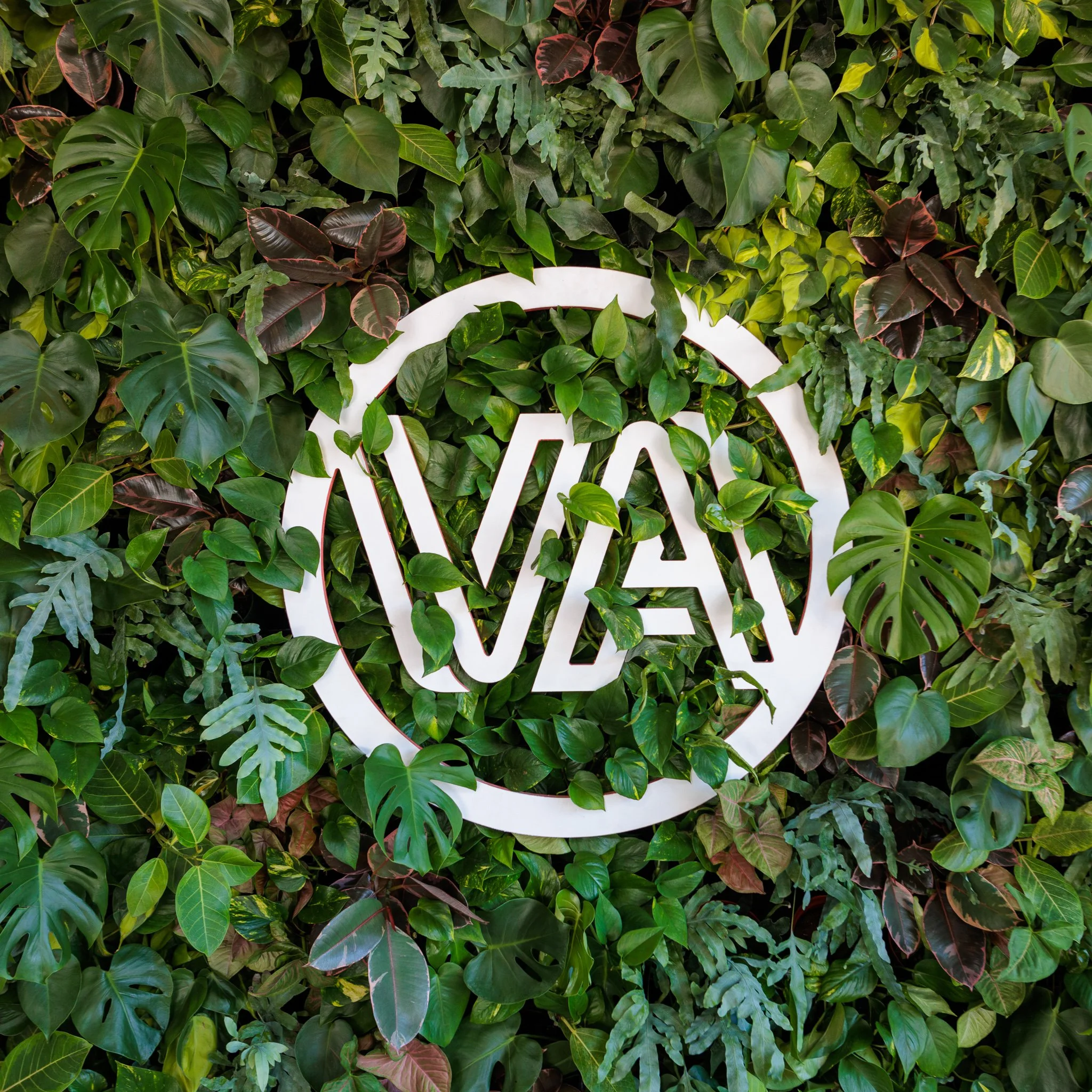 Lush Living Walls — Lush Elements