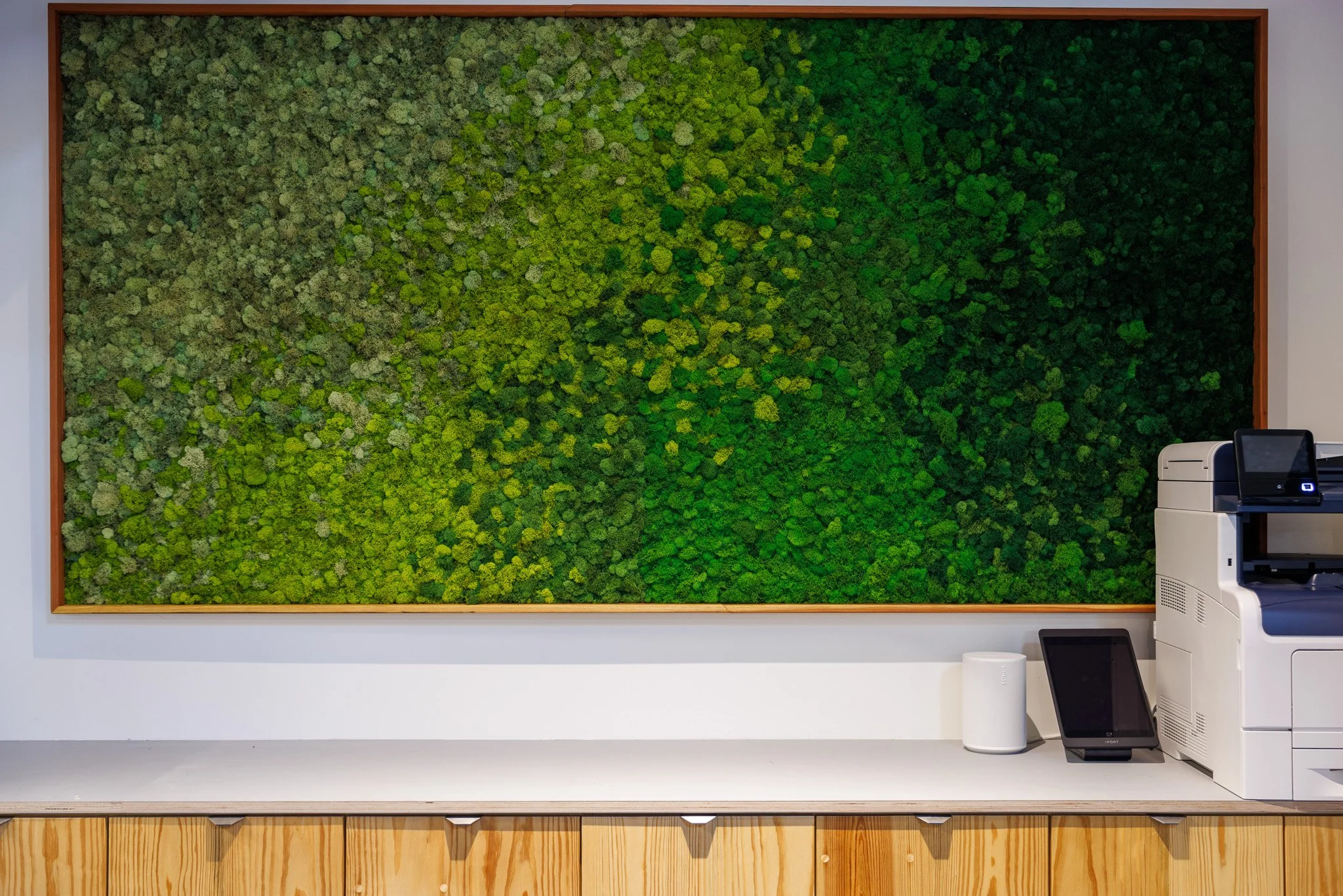 Lush Walls — Lush Elements