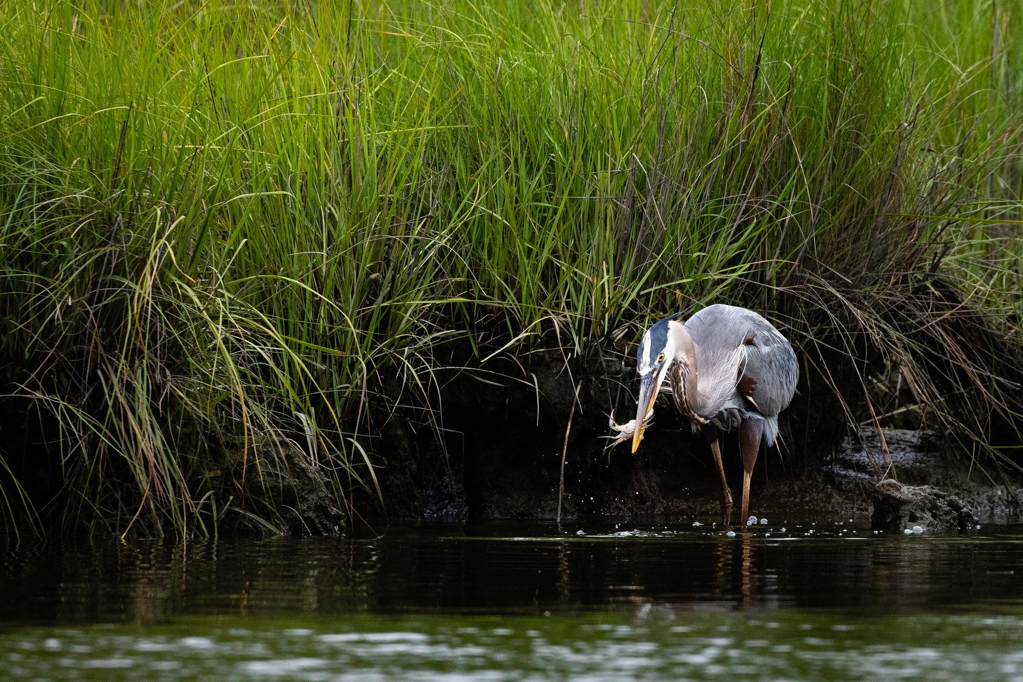 2023 Annual Report — Choose Clean Water Coalition