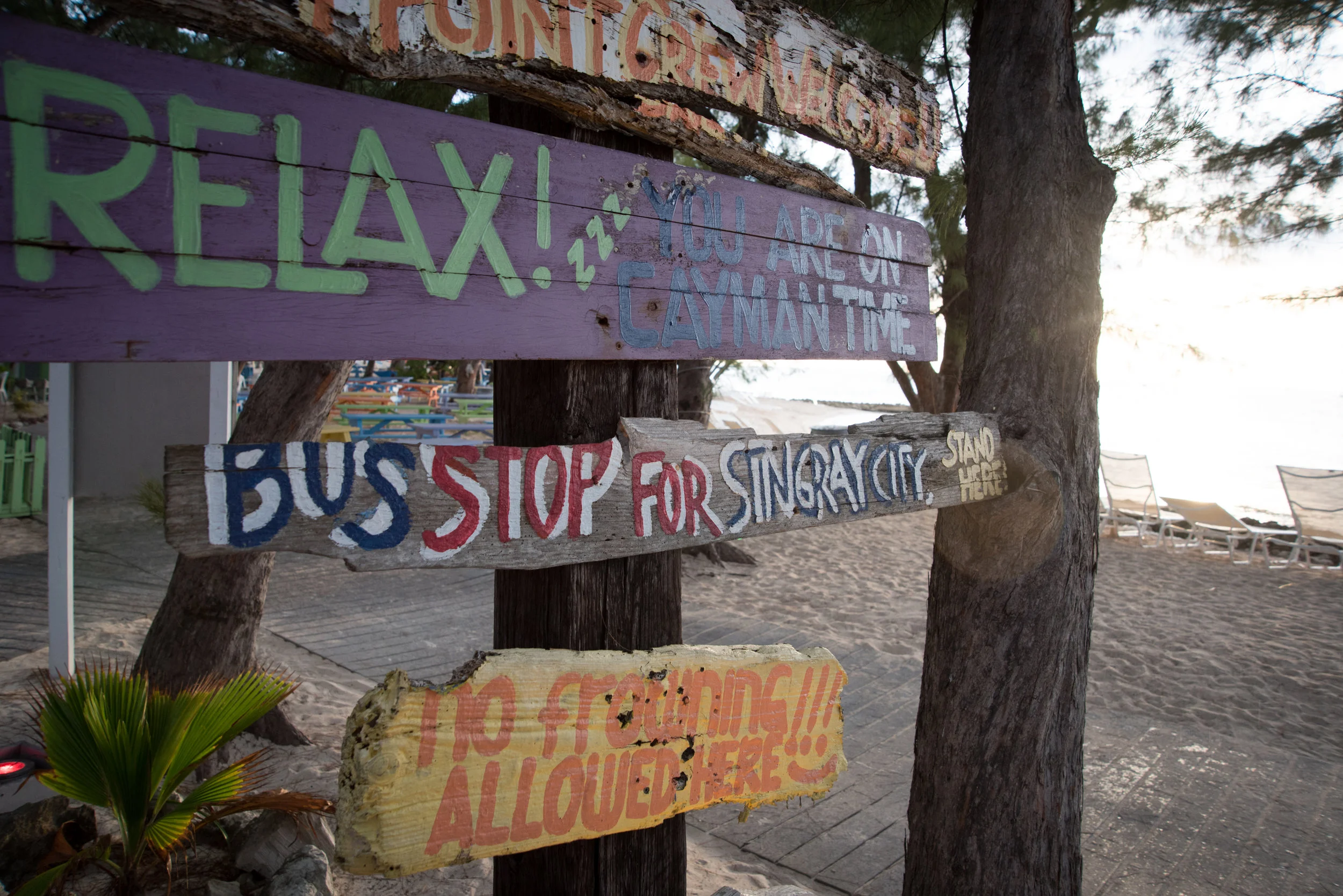 Rum Point — The Beach