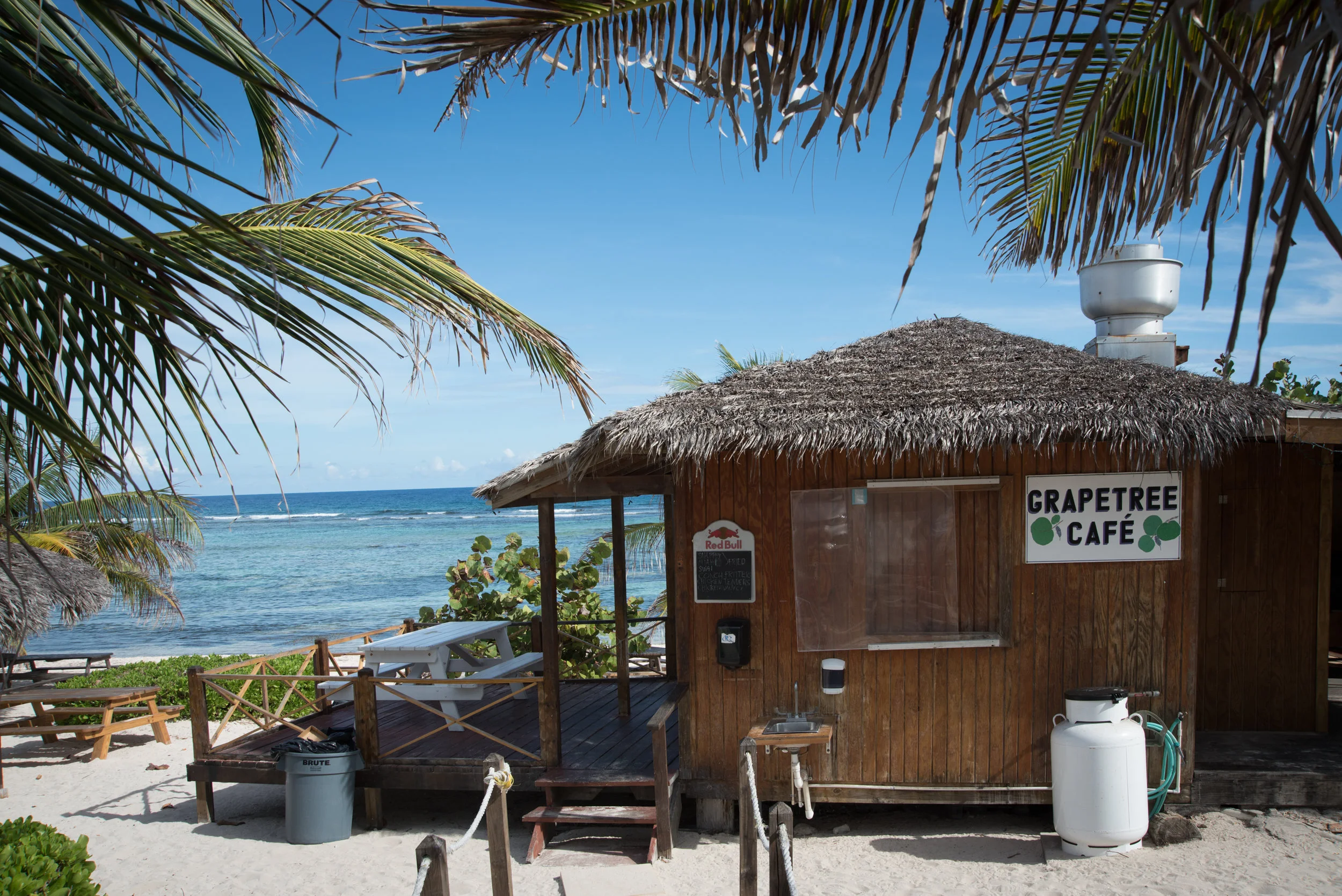 Grape Tree Cafe — The Beach