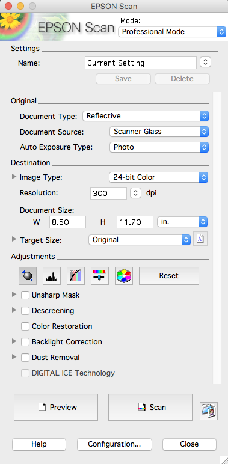 How to Digitize Watercolor Paintings | Susan Chiang