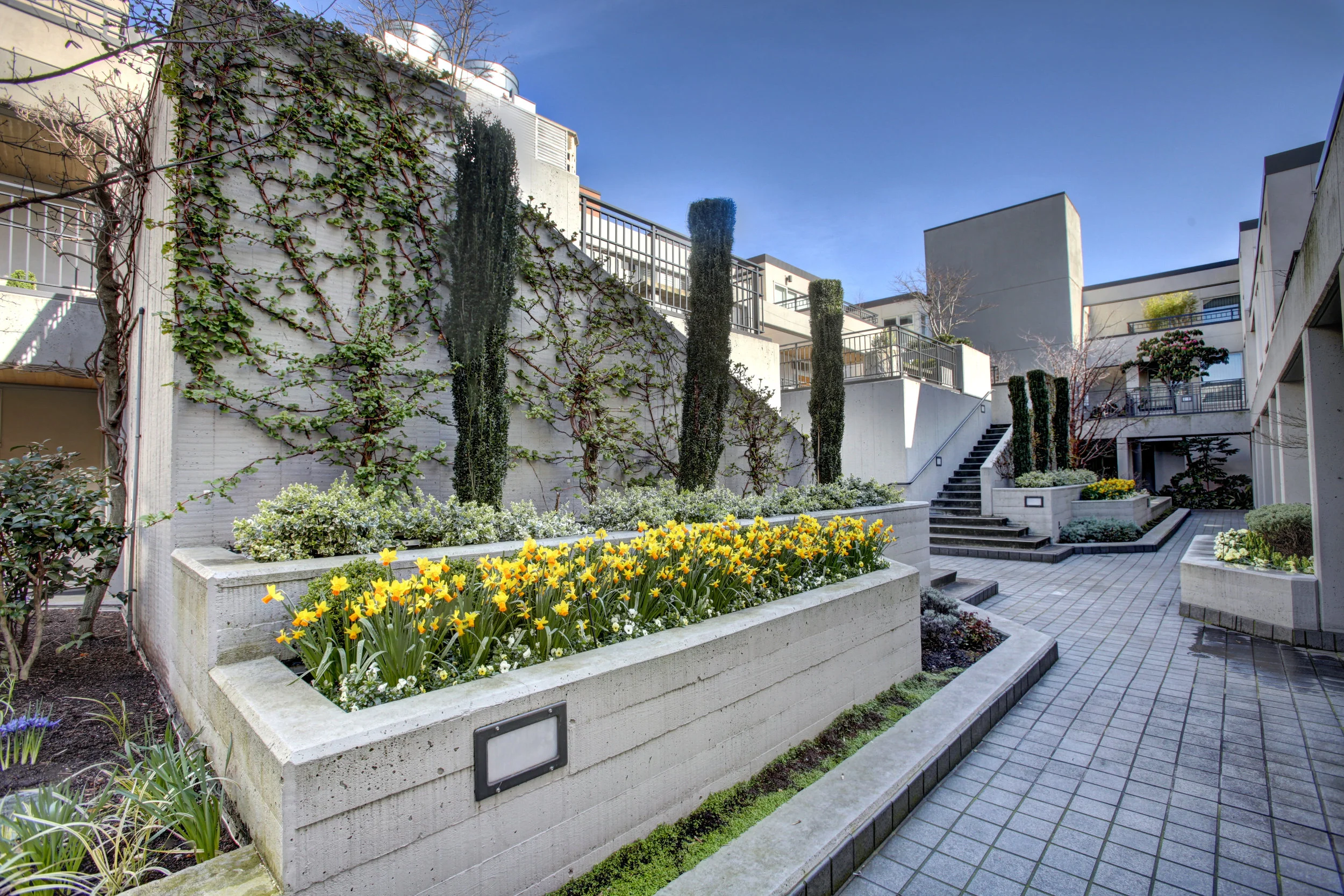 Waterfront Place Condos For Sale | The Seattle Condo Group