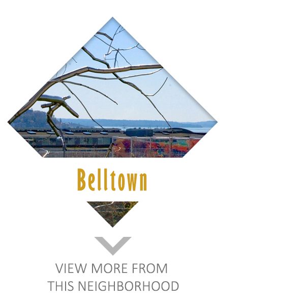 Vine Condos For Sale | The Seattle Condo Group