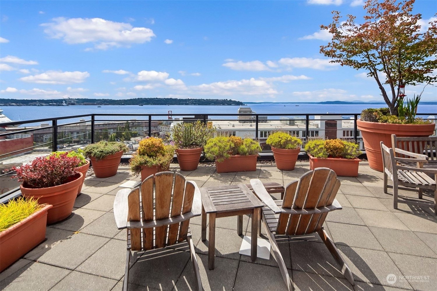 Vine Condos For Sale | The Seattle Condo Group