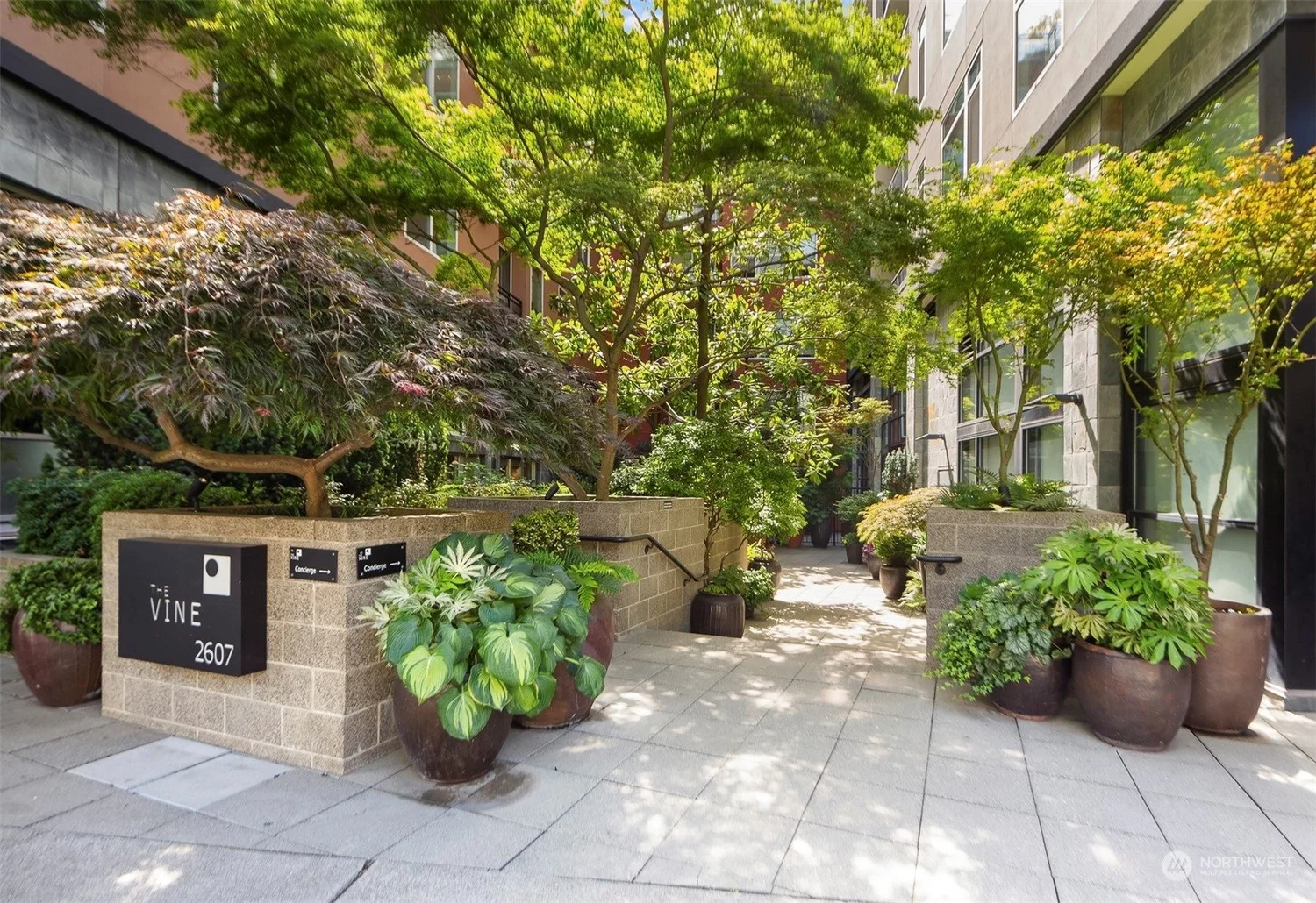 Vine Condos For Sale | The Seattle Condo Group