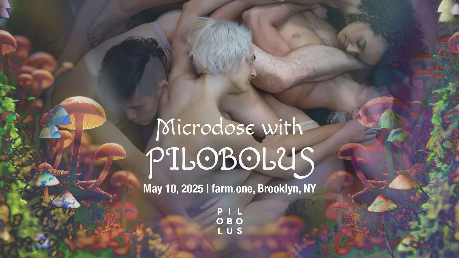 Pilobolus