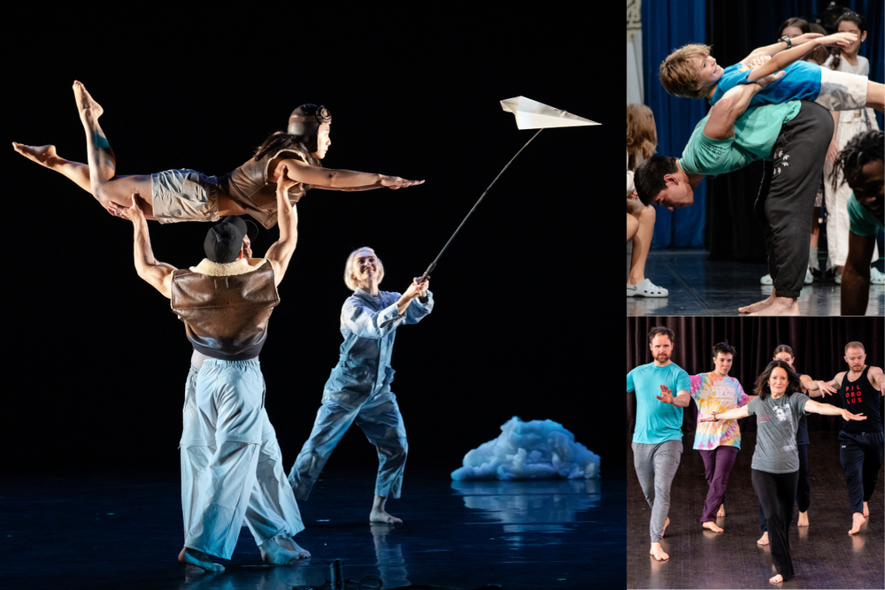 Pilobolus