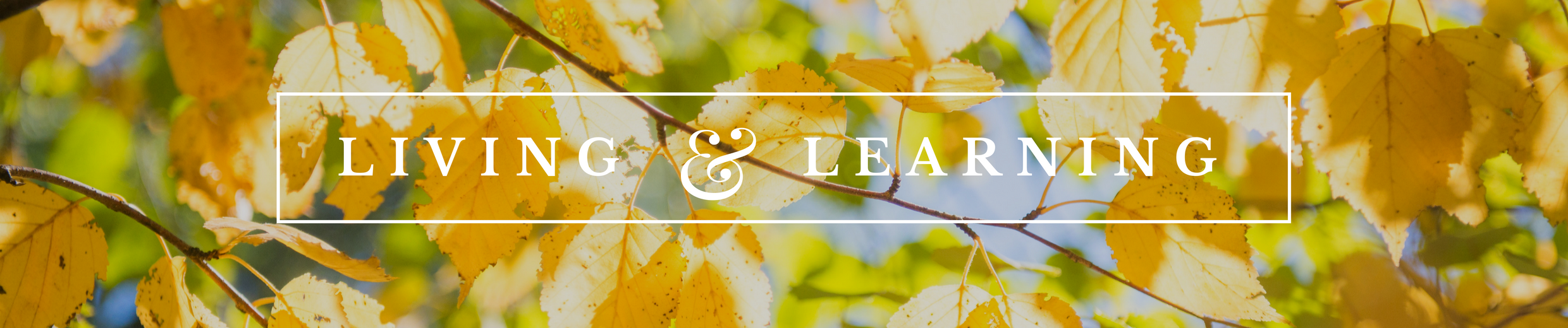 Living & Learning — Parzival