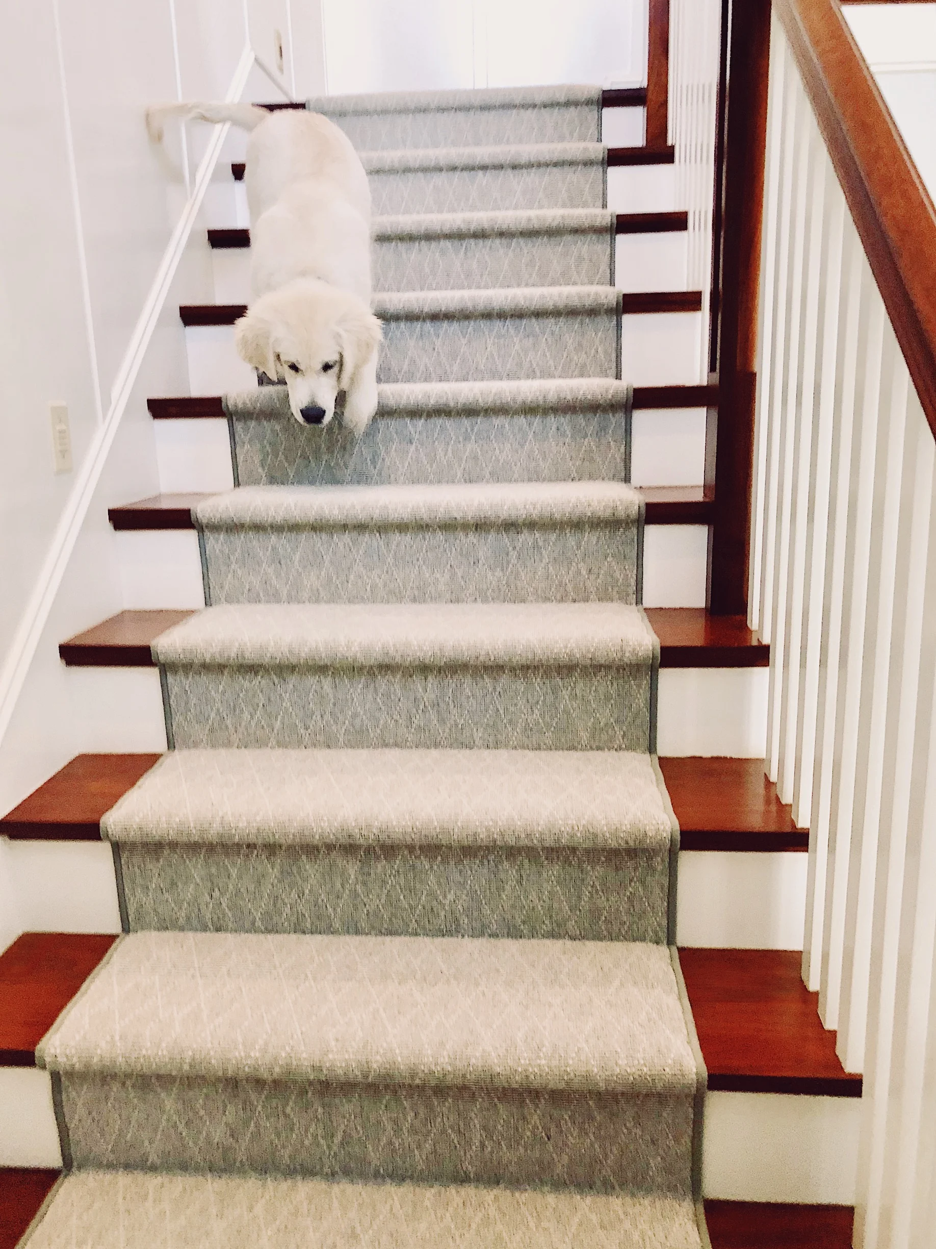 INTERIORS — k shan design