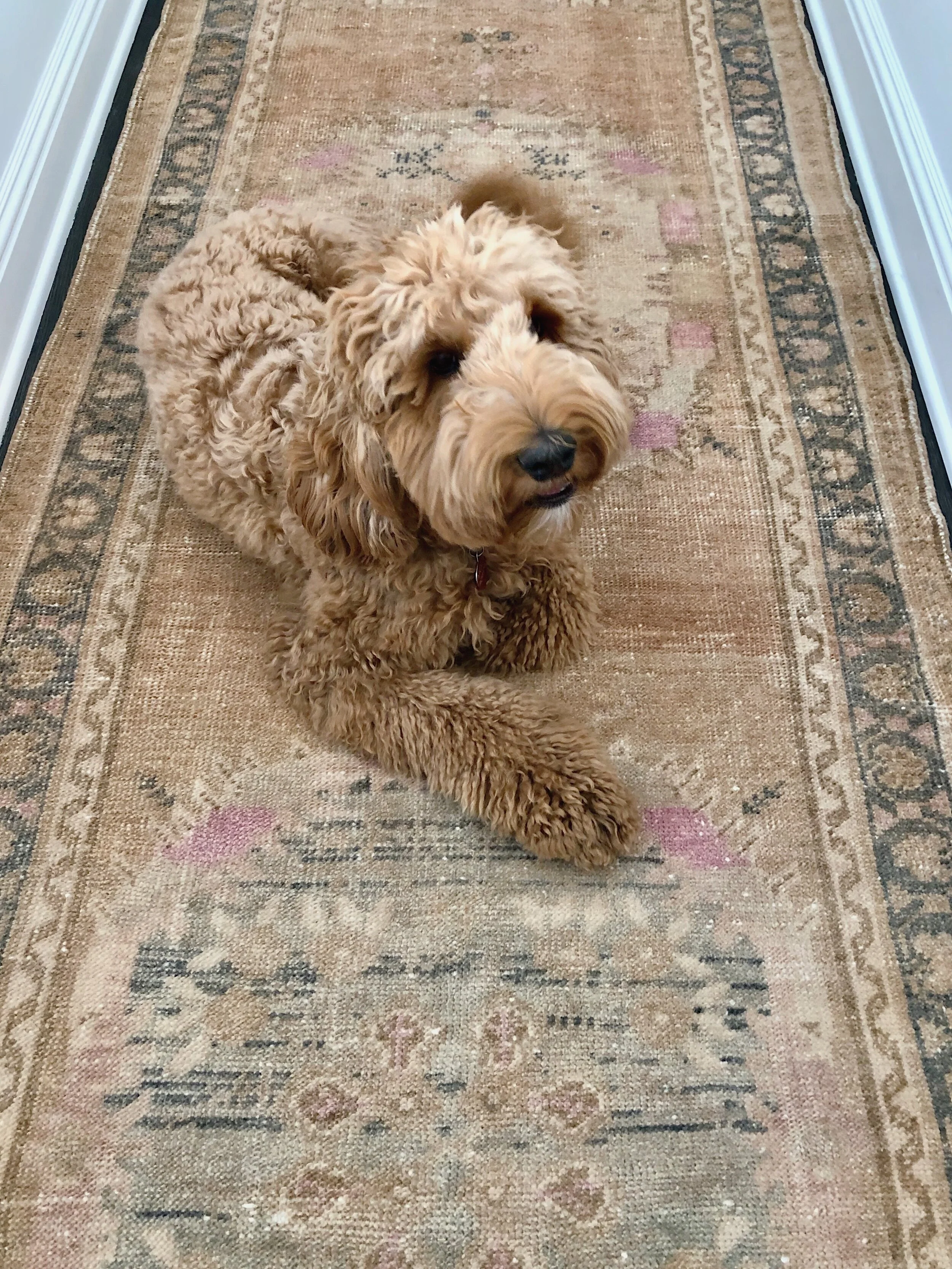 INTERIORS — k shan design