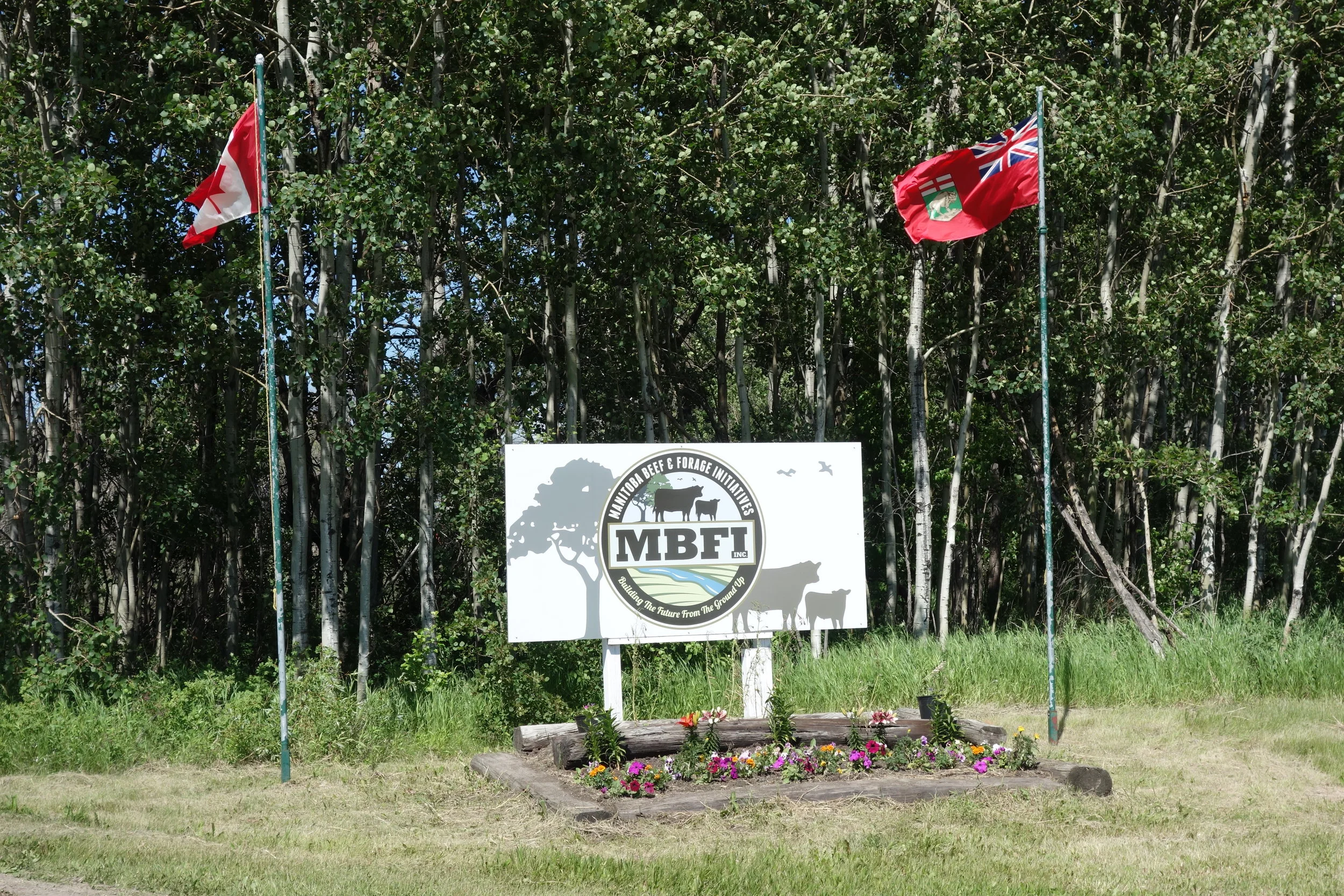Brookdale Site Resources — Manitoba Beef & Forage Initiatives