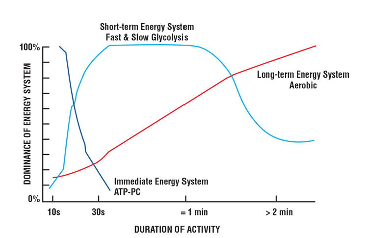 Cardio? Energy Systems? Whats the difference? — Fight For Hearts