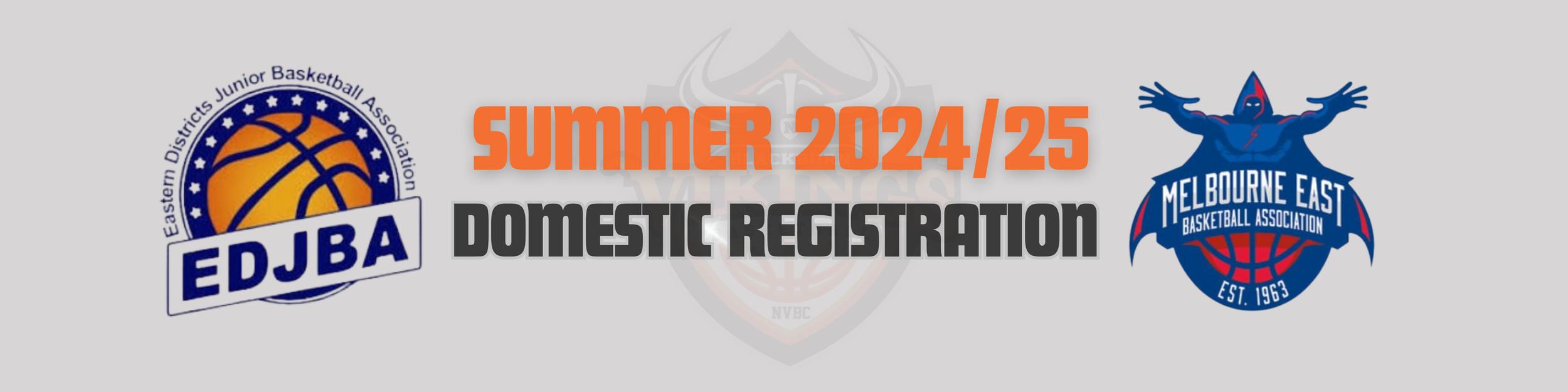 Junior Domestic — Blackburn Vikings