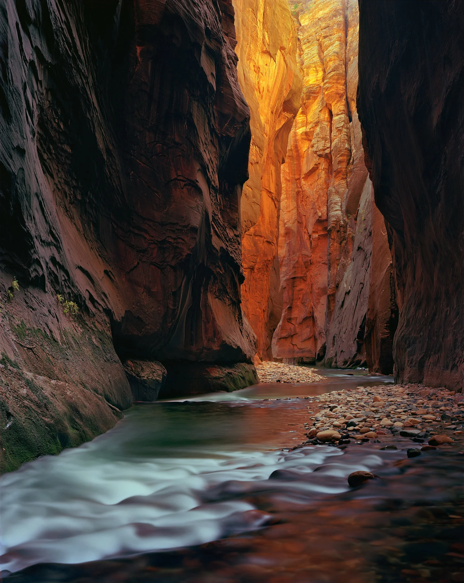 Large Format Photography with Ben Horne - LPP #28 — The Landscape ...