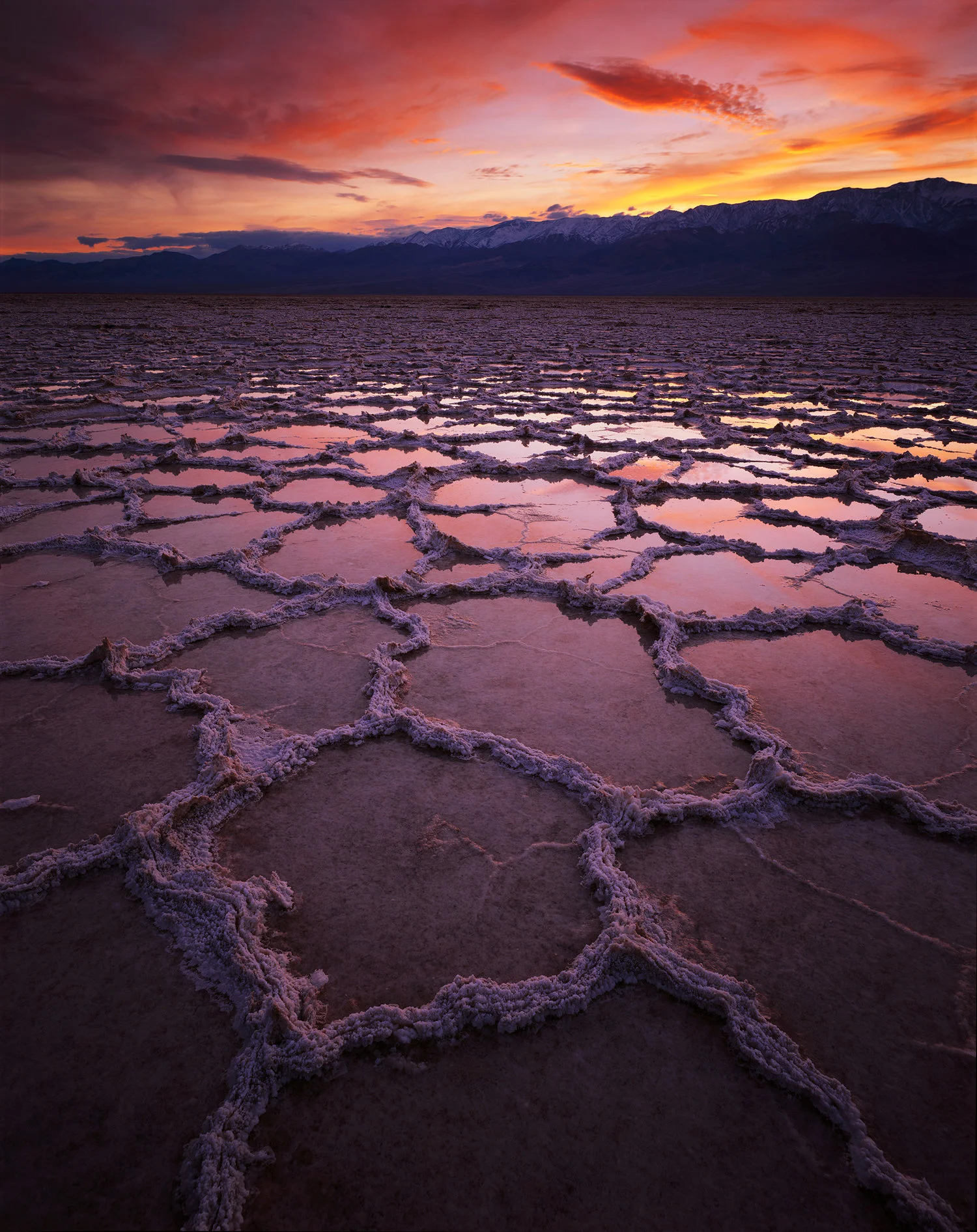 Large Format Photography with Ben Horne - LPP #28 — The Landscape ...