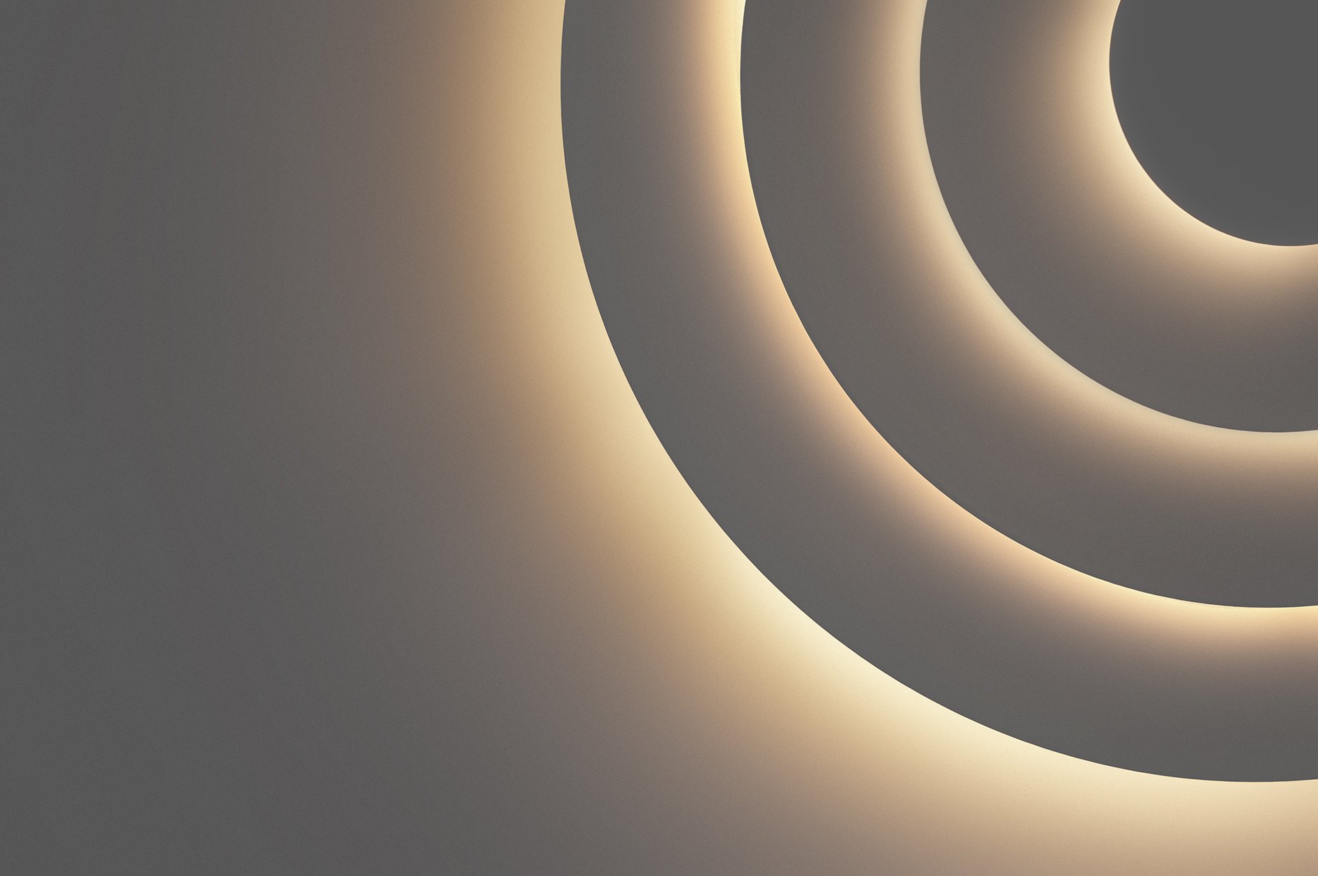 Sprinkle wall & ceiling - New 2024 - Zero